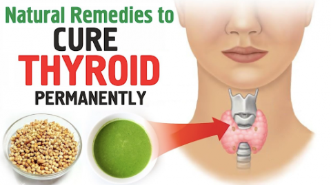 Thyroid Natural Treatment - Philadelphia Holistic Clinic